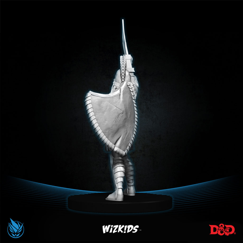 Human Paladin - Wildmesh
