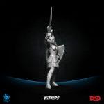 Human Paladin - Wildmesh