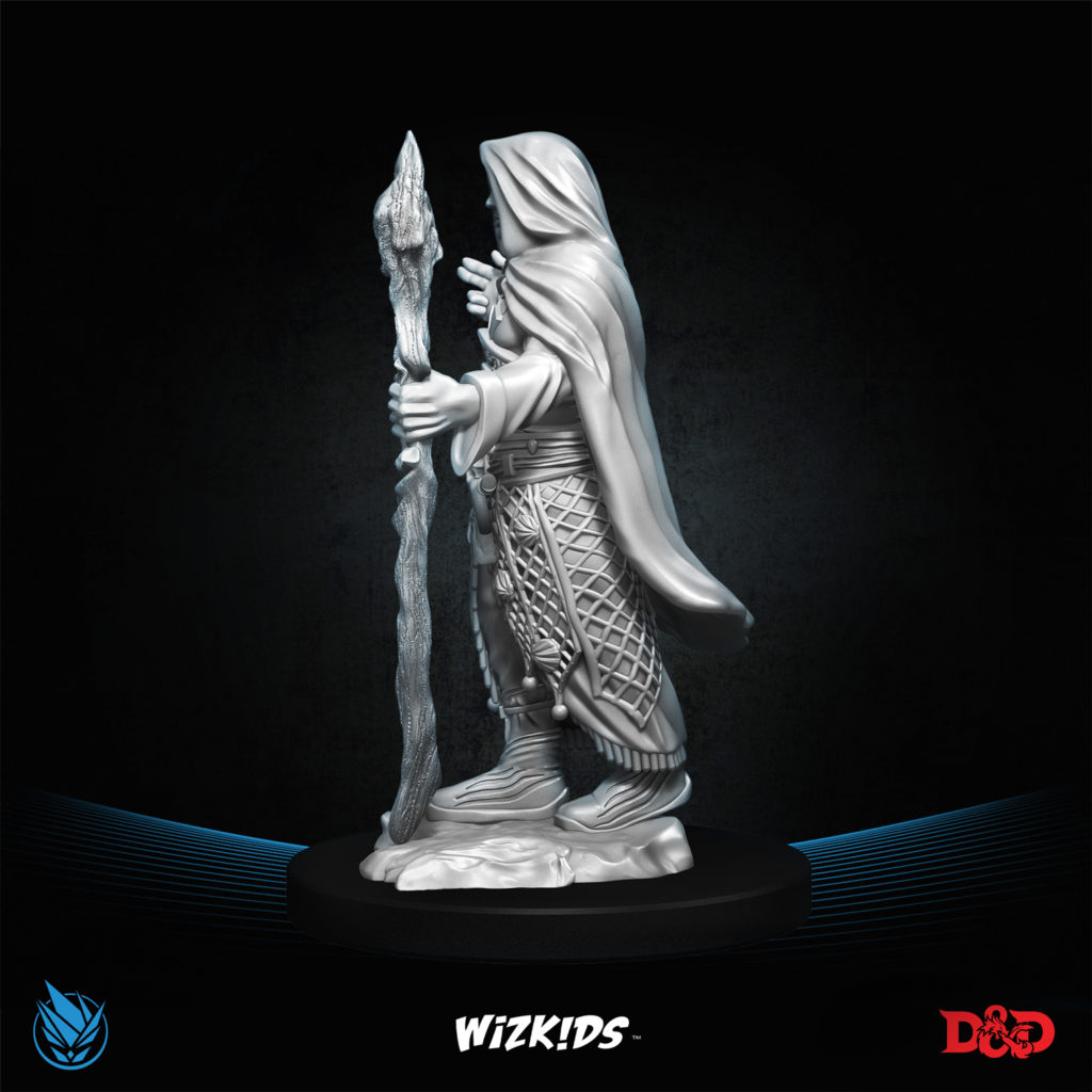 Male Human Druid - Low - Wildmesh